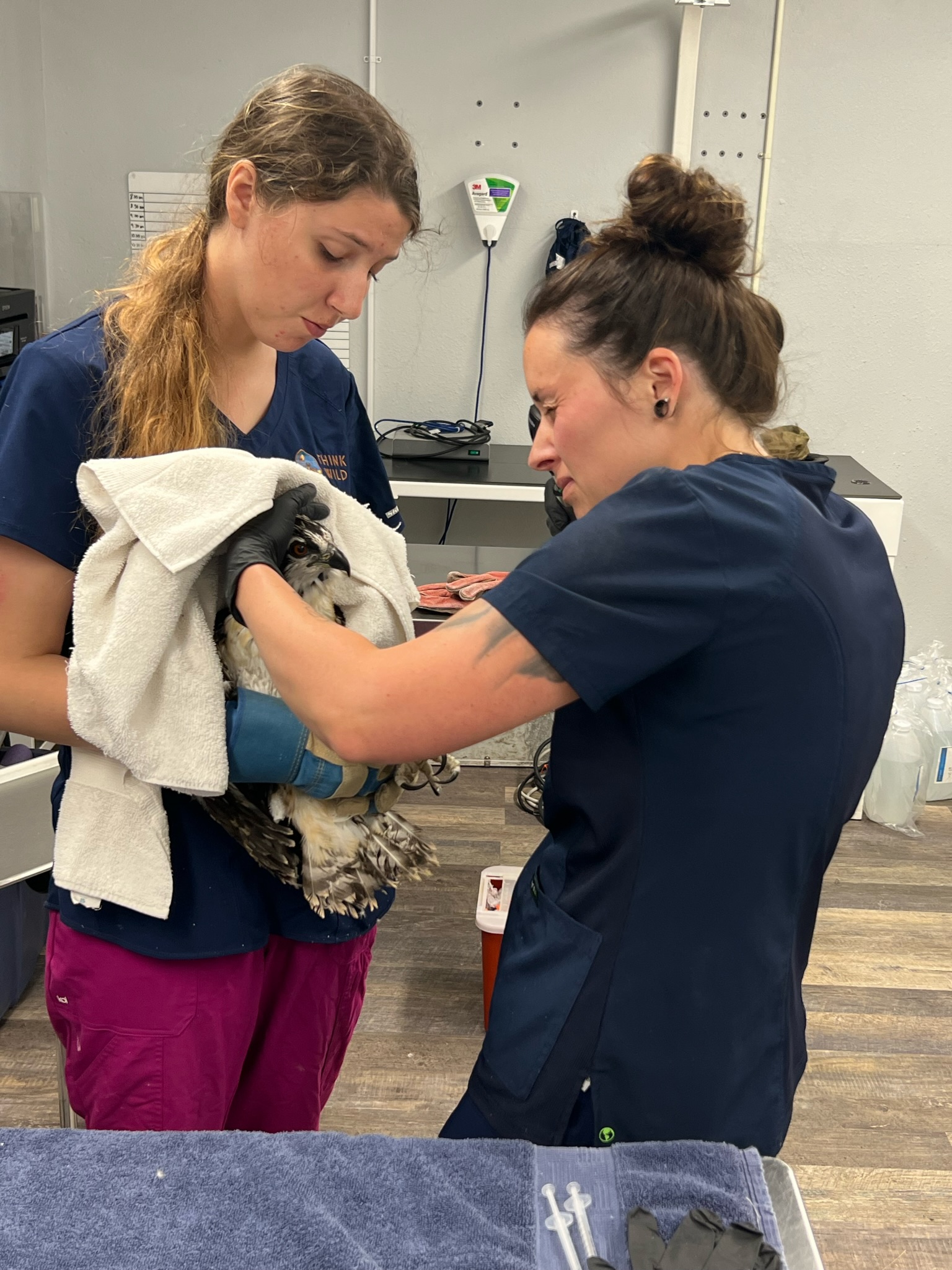 Injured & Orphaned Birds - East Cascades Bird Alliance